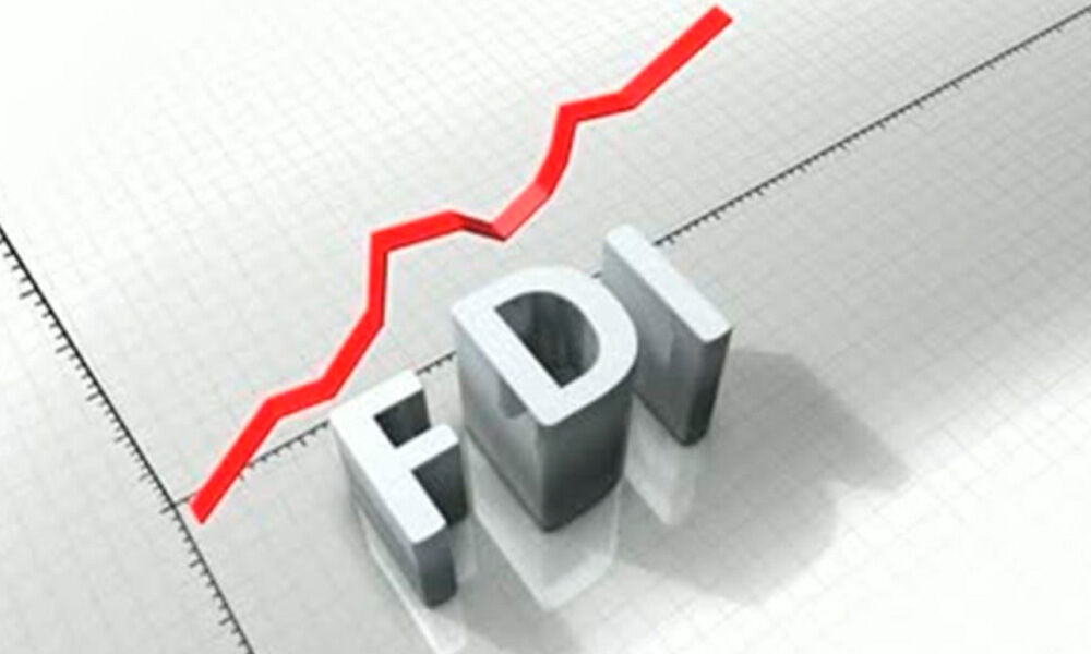 FDI growth story to continue in 2021 too: Experts say