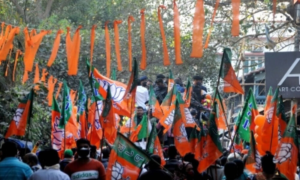 BJP needs to rehash strategy in AP