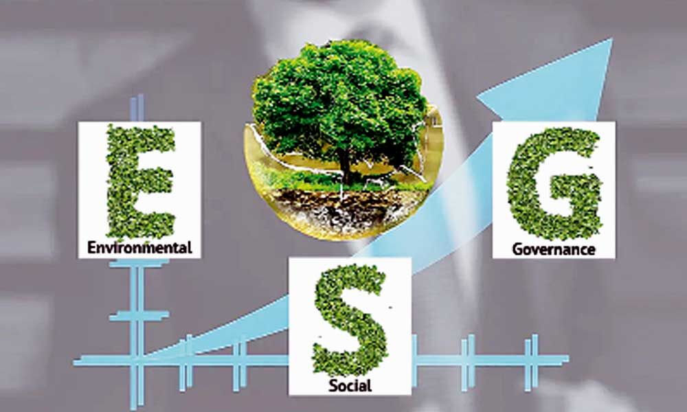 Six emerging issues of ESG management in India