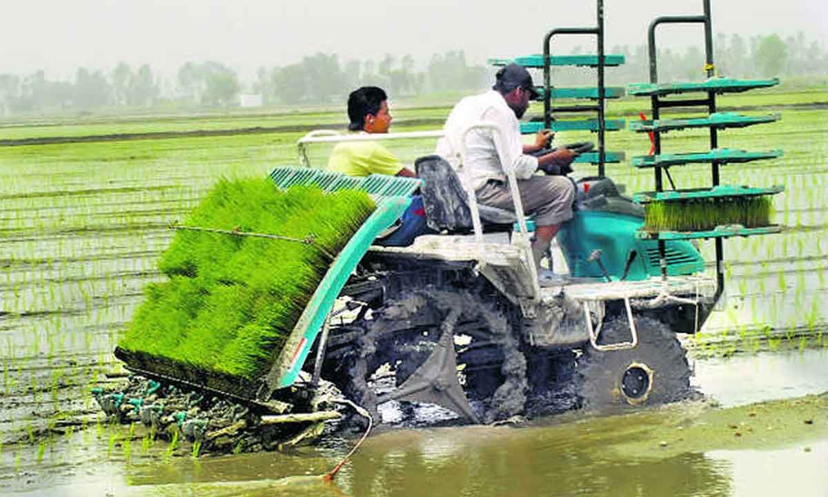 Farm mechanisation: Govt help essential to increase farmers' income