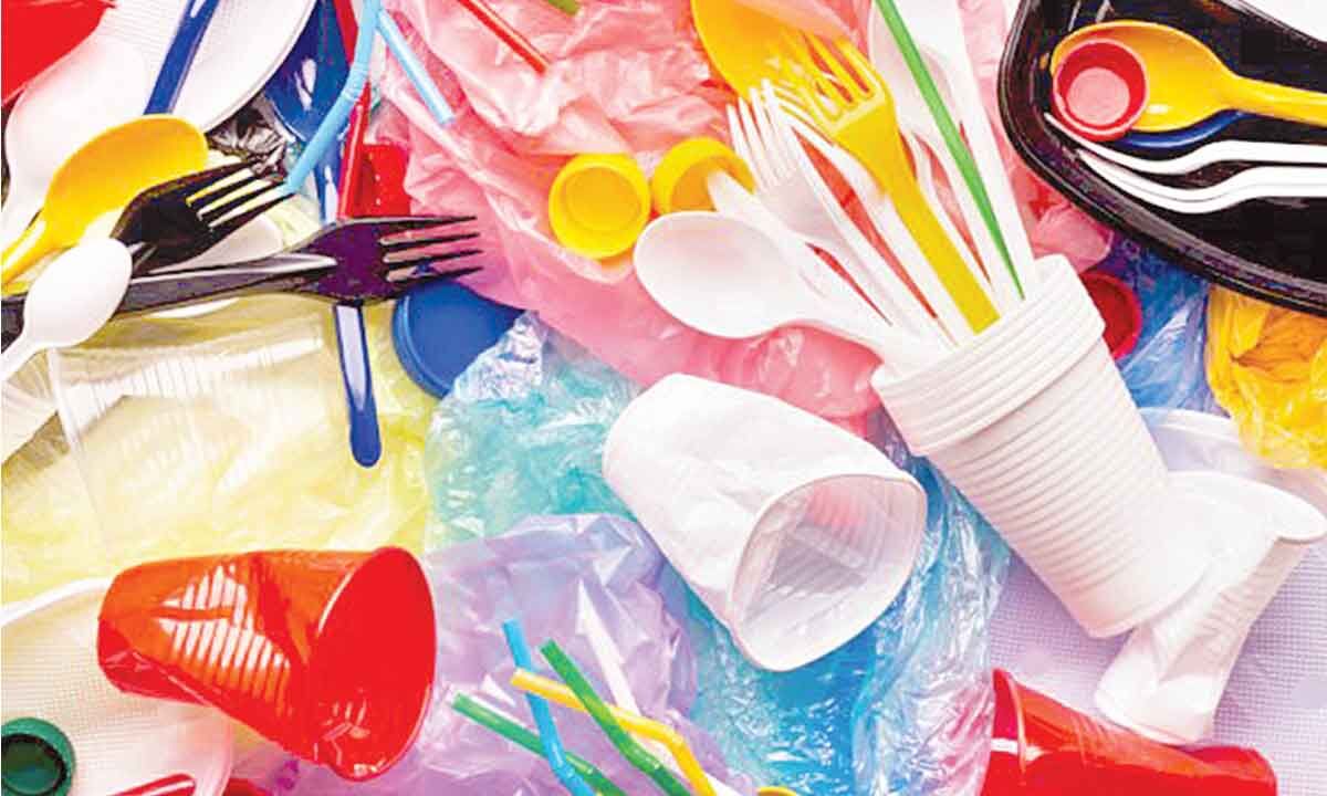 Plastic ban must be properly imposed