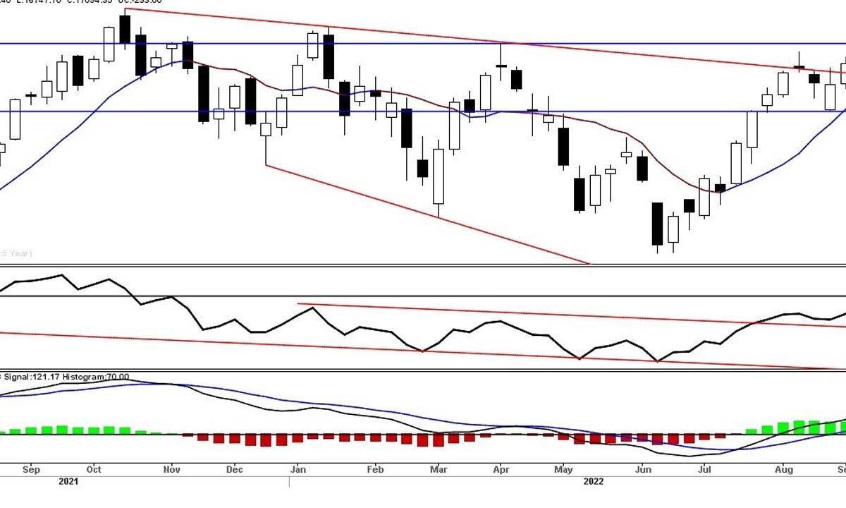 Nifty forms long lower shadow candle