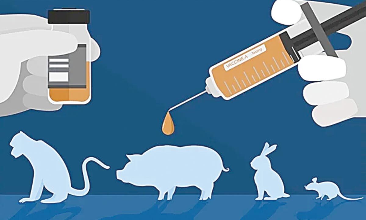 Move to regulate experiments on animals a welcome decision