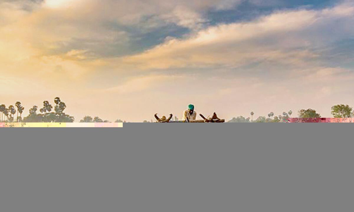 Tech-driven agri practices pose a bigger threat