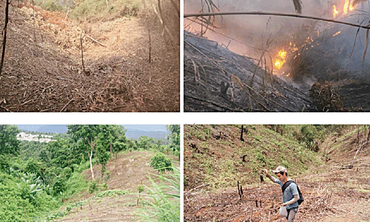 Jhum cultivation maintains ecological balance, endorses UN body FAO ...