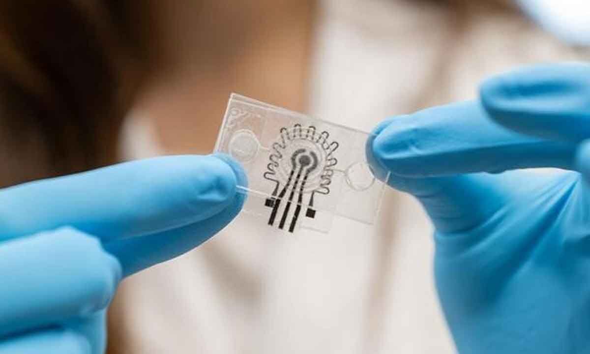 Wearable patch detects glucose levels, body temp in human sweat
