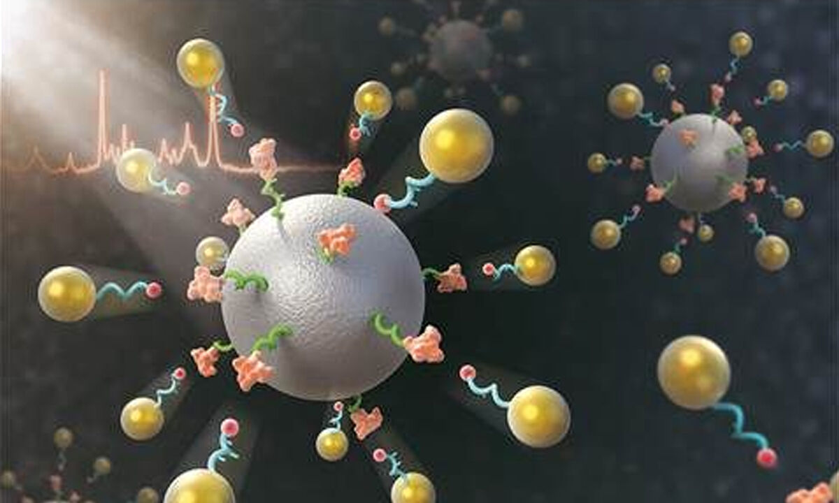 Nano-scale base coding product application has heralded nanotechnology ...