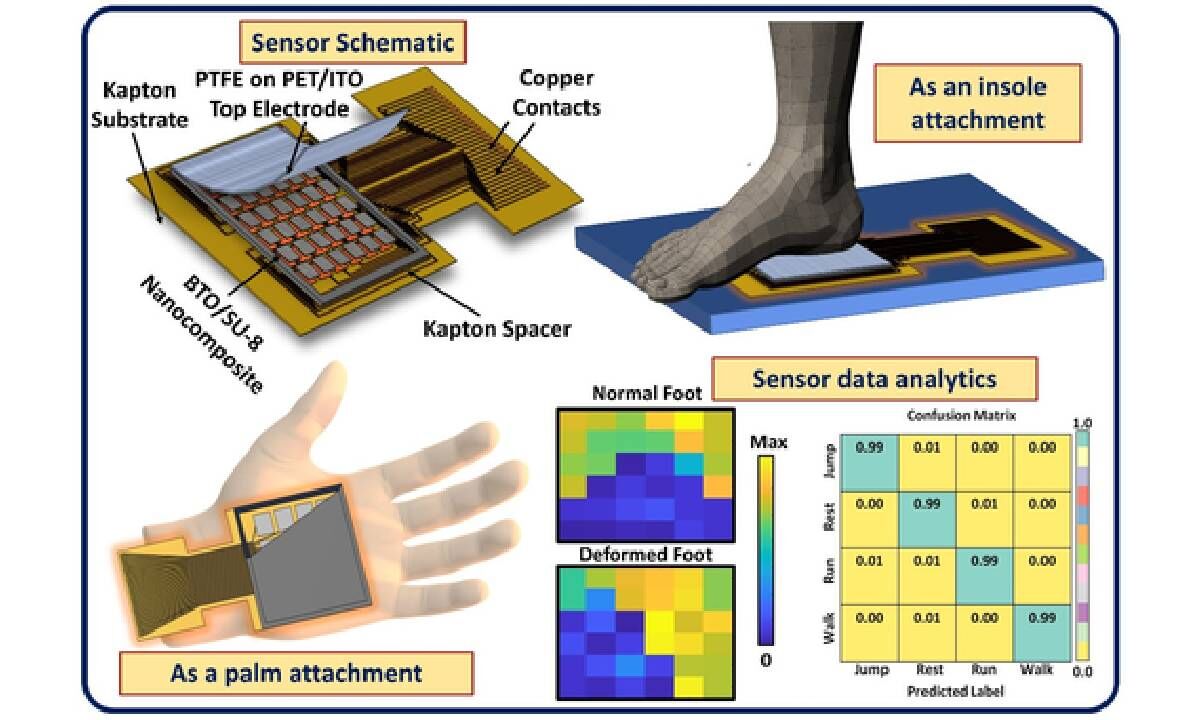 IIT Delhi's new wearable pressure sensor to help correct posture