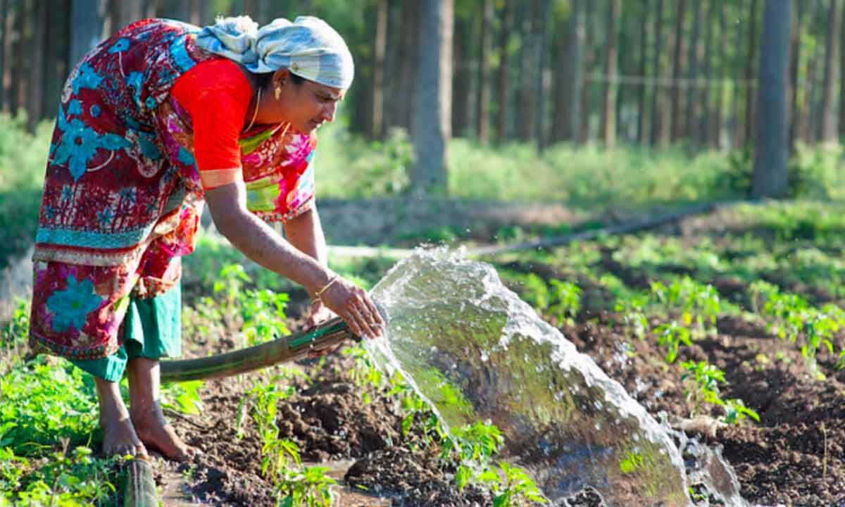 Make MSP legally binding, empower landless farm workers to spread all ...