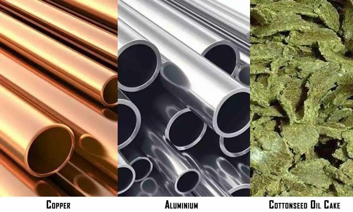 Commodity Watch: Copper futures reeling under pressure