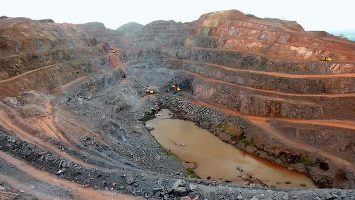 Miners urge govt not to impose export duty on low-grade iron ore