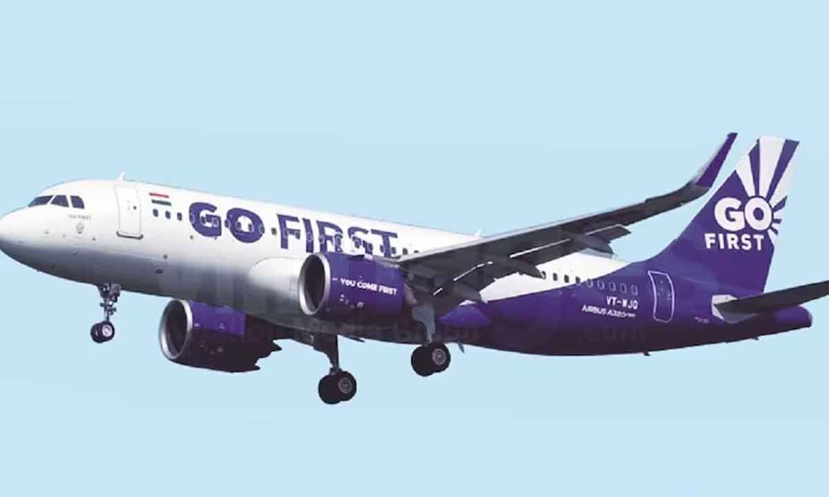 Go First planes need engines, spare parts, lessors to take longer to fly