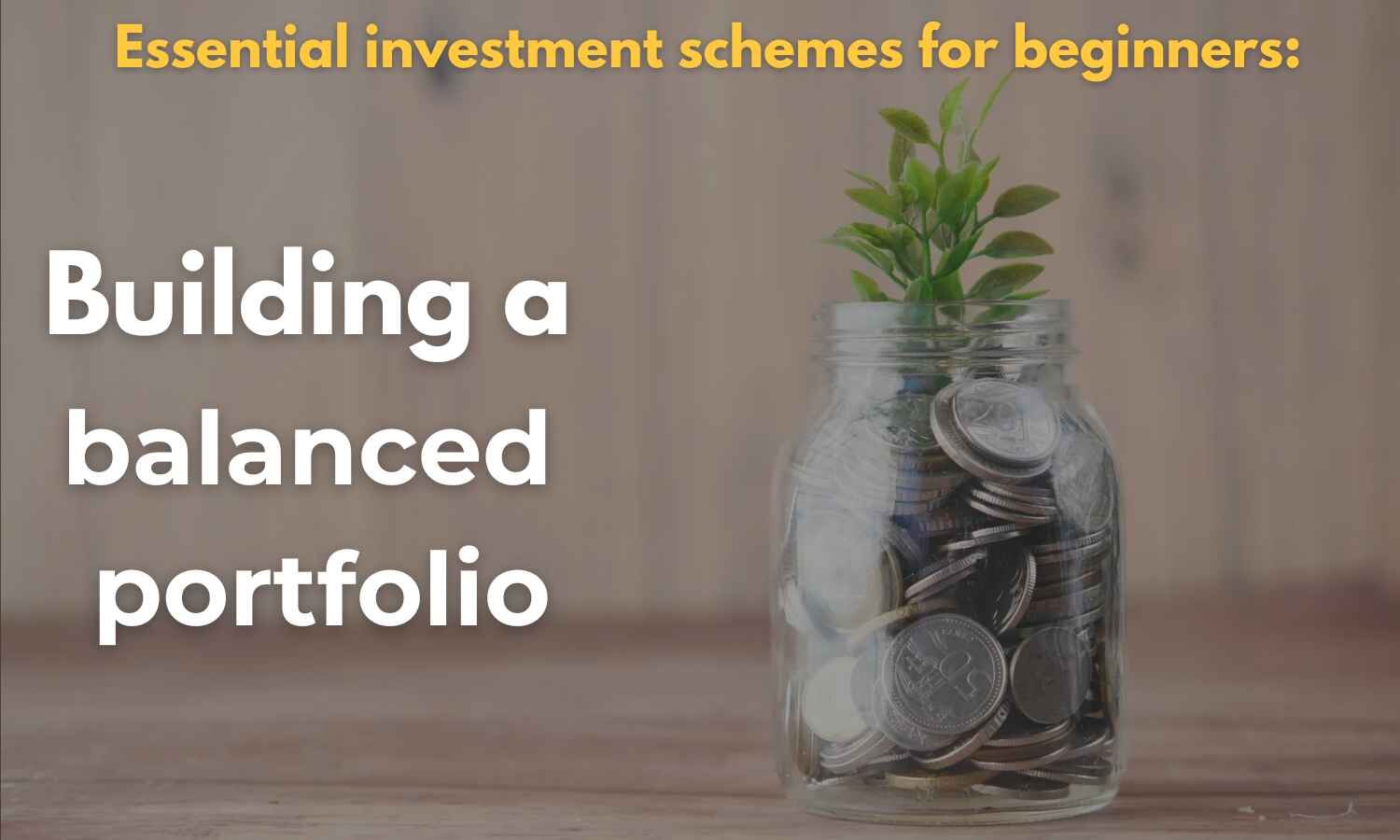 Essential investment schemes for beginners: Building a balanced portfolio