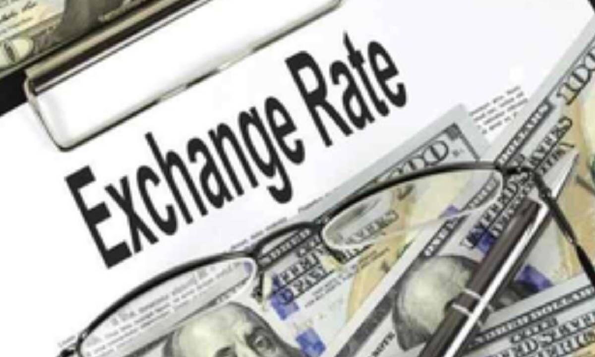Exchange Rate Automation Module ops to start on July 4, exporters ...