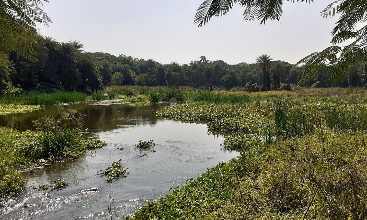 Will HYDRAA Take Action on Mir Alam Tank Encroachments? Will HYDRAA ...