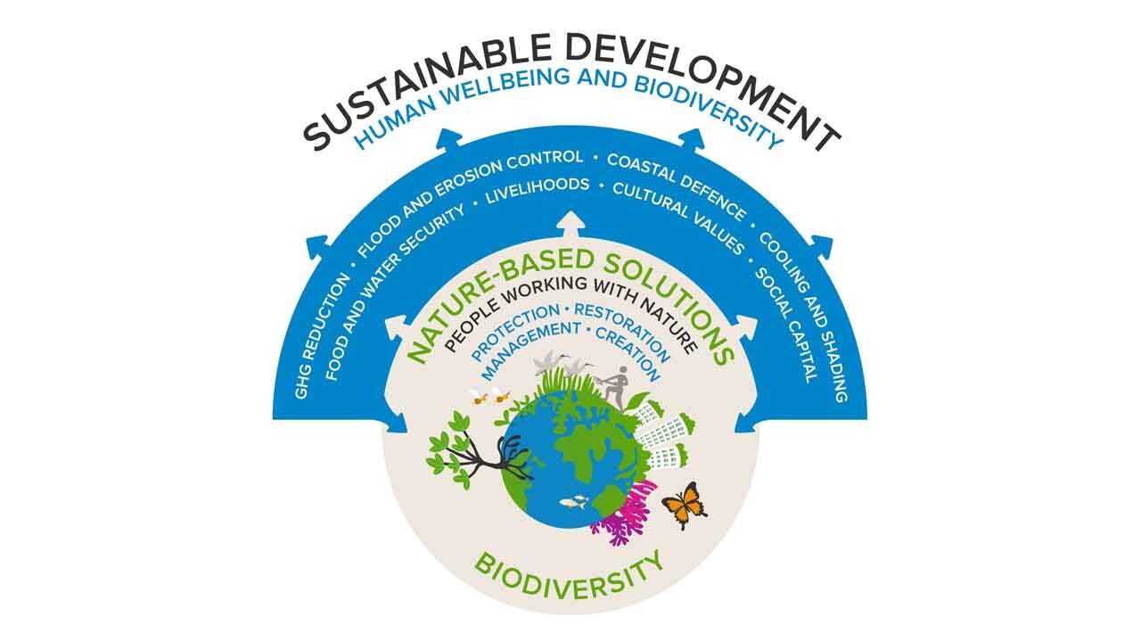 Healthy Ecosystems And Stable Climate Crucial For Climate Resilience ...