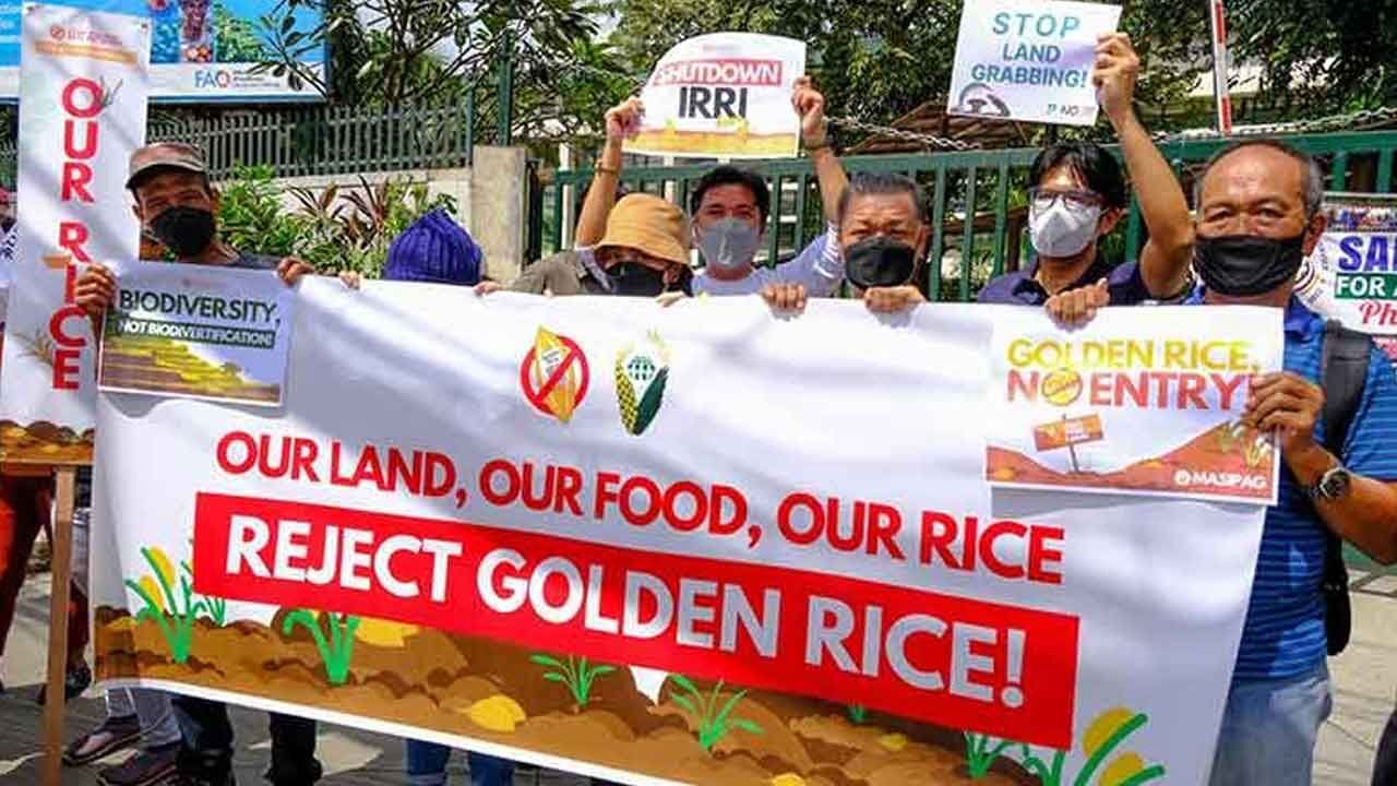 Promoting Corporate-Driven Fortification As The Route To Address Iron ...