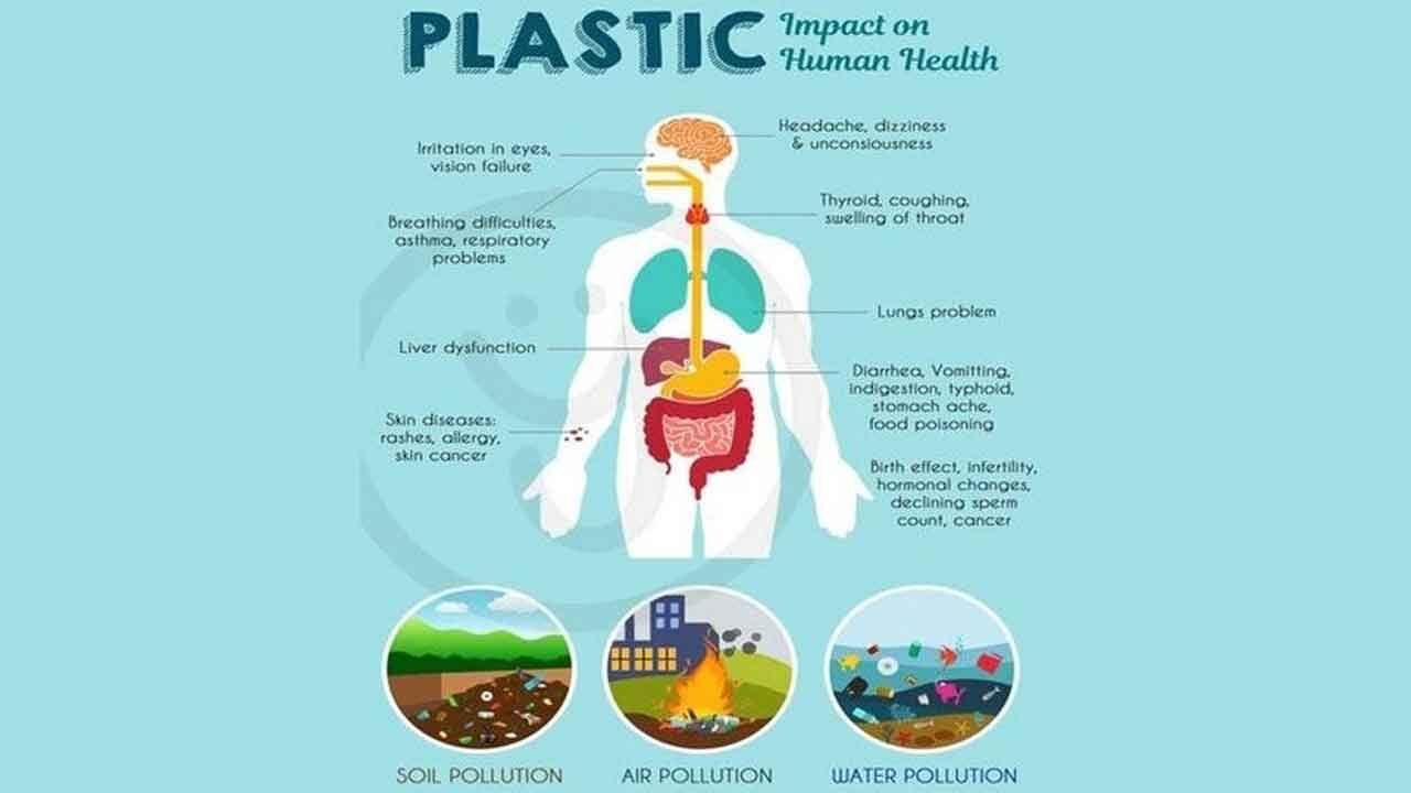 Impact Of Plastics On Humans Remains Unknown Due To Varying ...