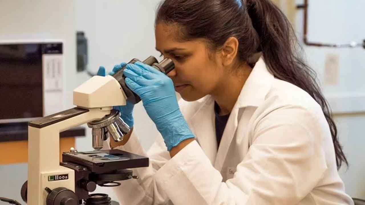 A Major Medical Breakthrough Was Born From Curiosity - But That Kind Of ...