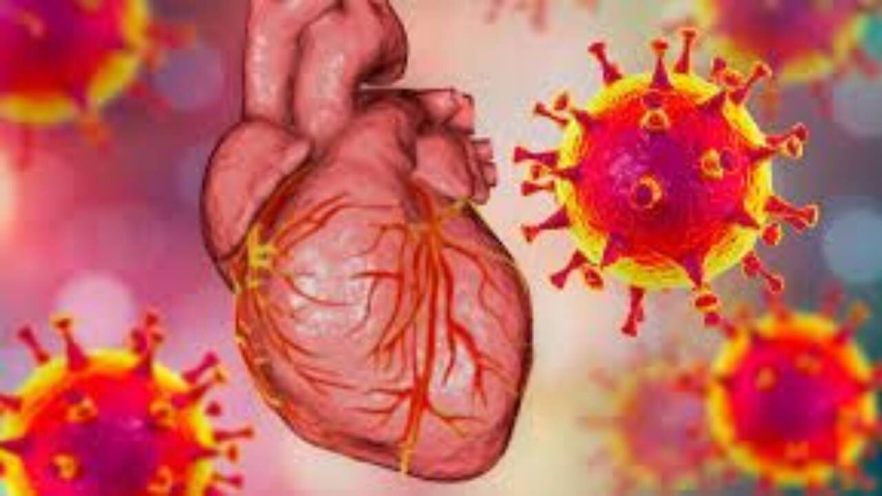 Covid link to heart attacks unravelled