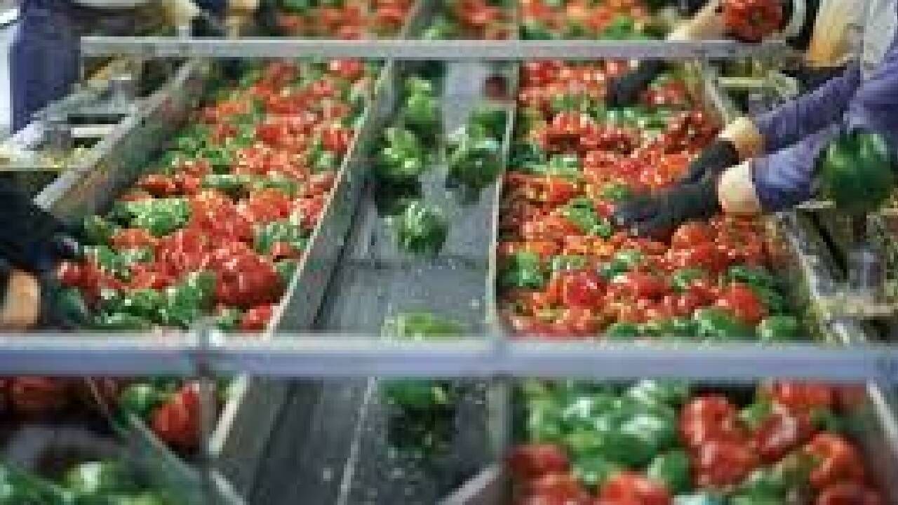 Food processing helps farmers cut losses