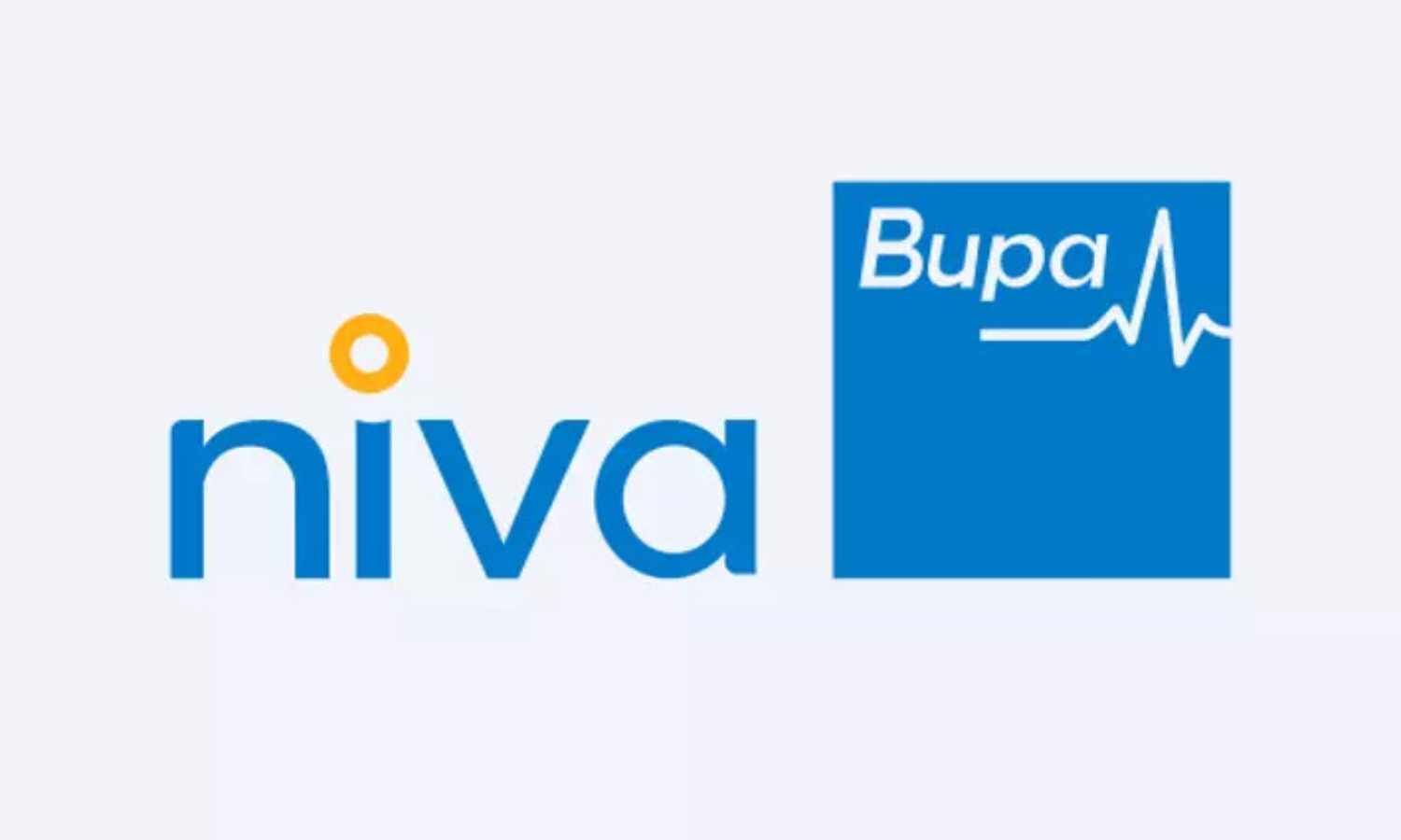 Niva Bupa's Shares Soar 15%, Hitting 4-Month High on Strong Q4 Performance