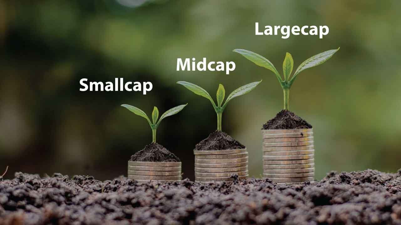 Smallcap, midcap stocks lagged behind blue-chip peers in 2025