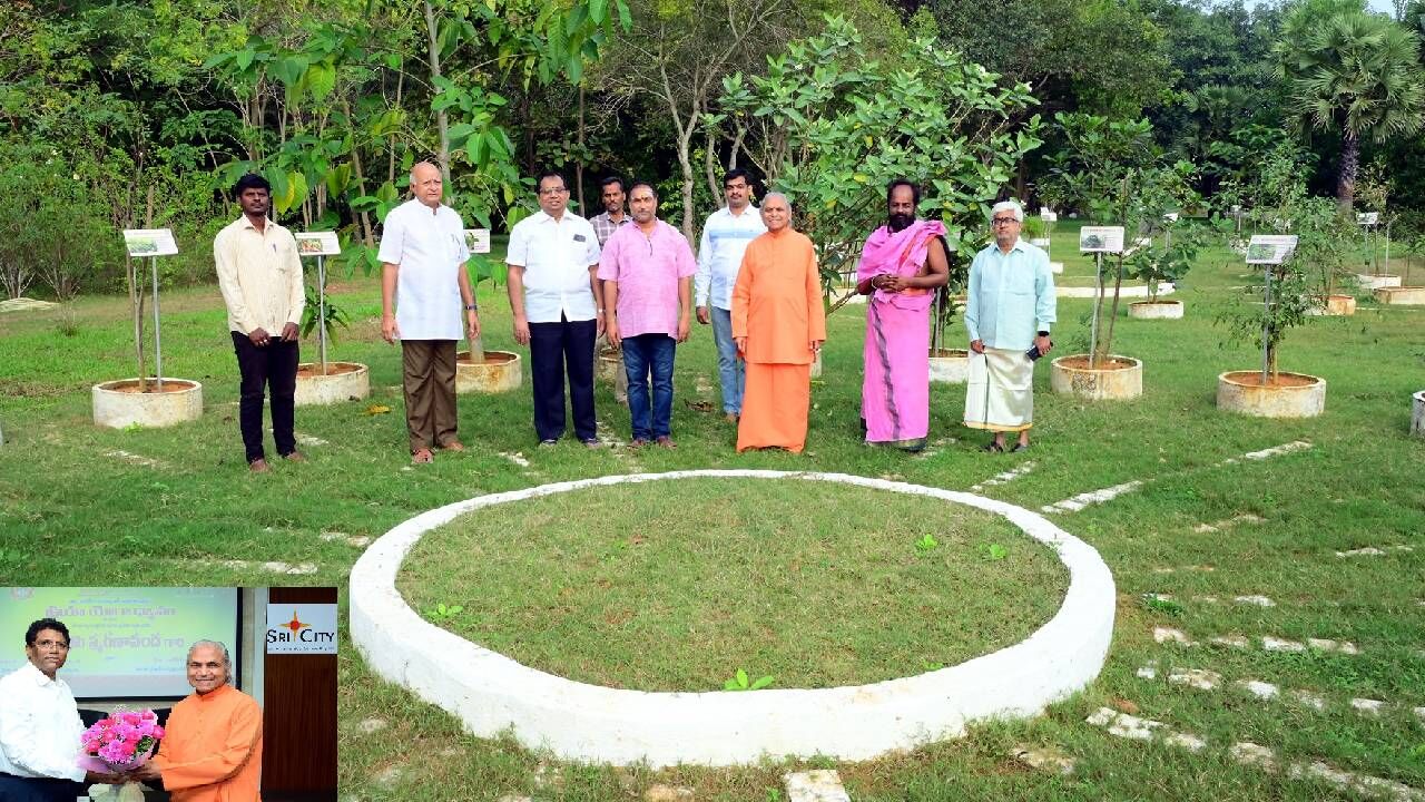 'Meditation key to lasting happiness today'