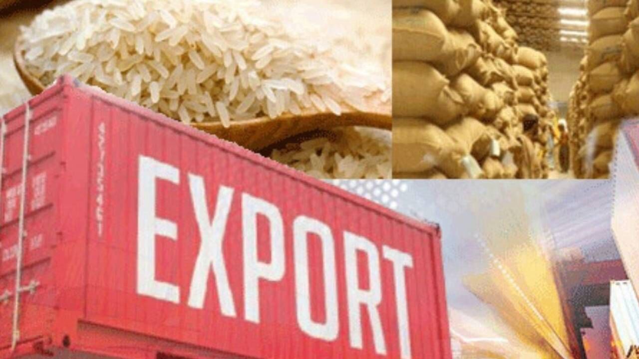 India’s rice exports jump 19.4% after curbs lifted