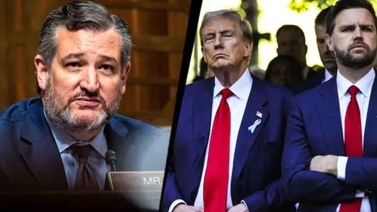 Republican Senator blames Navarro, Vance and Trump for resisting trade ...