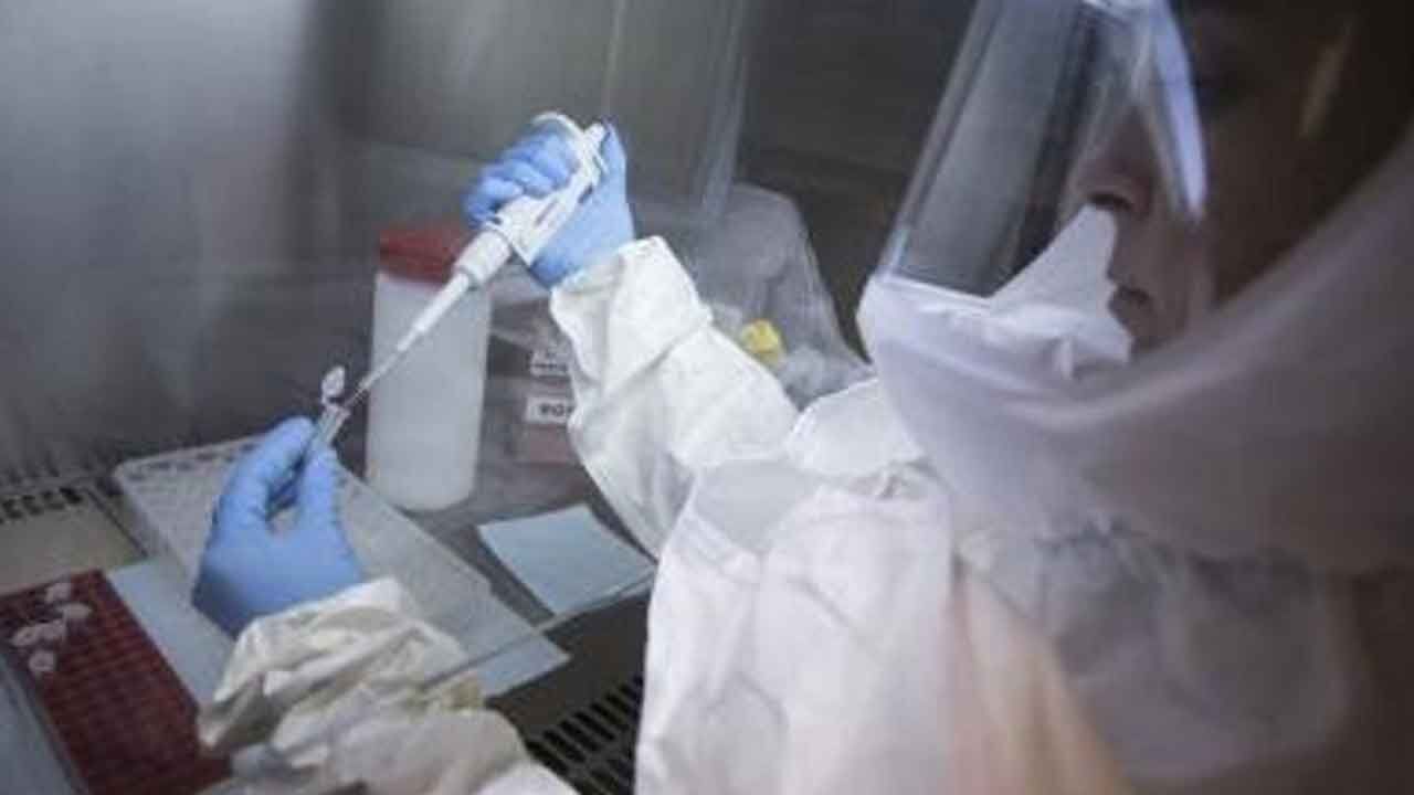 Chinese scientists identify key Ebola virus mutation
